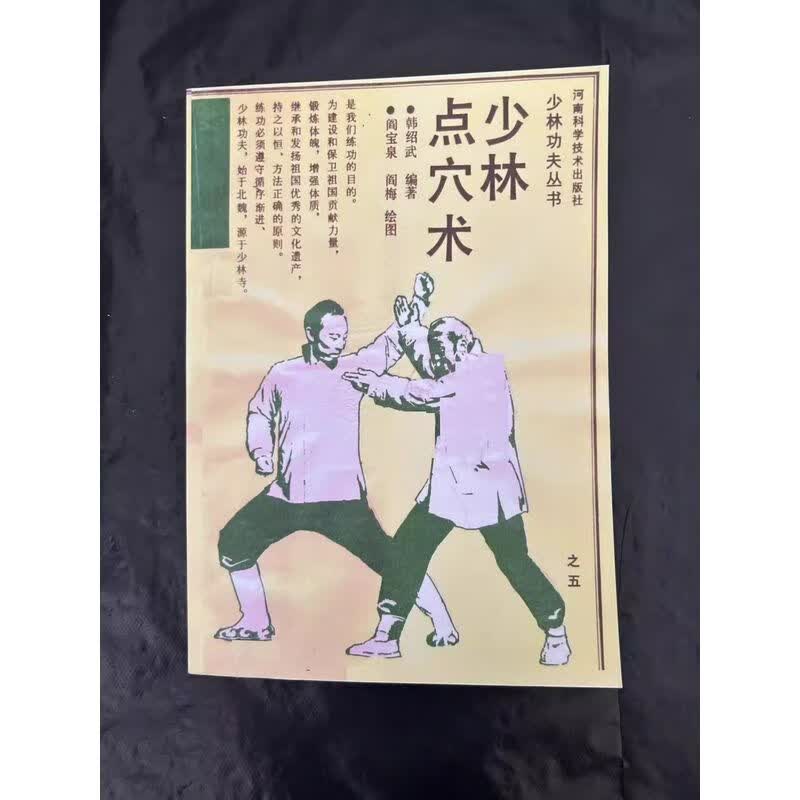 少林点术 韩绍武编著 少林功夫书 武学功法武功书 武术现货