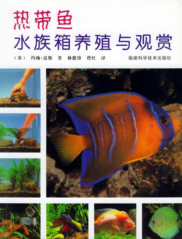 热带鱼水族箱养殖与观赏