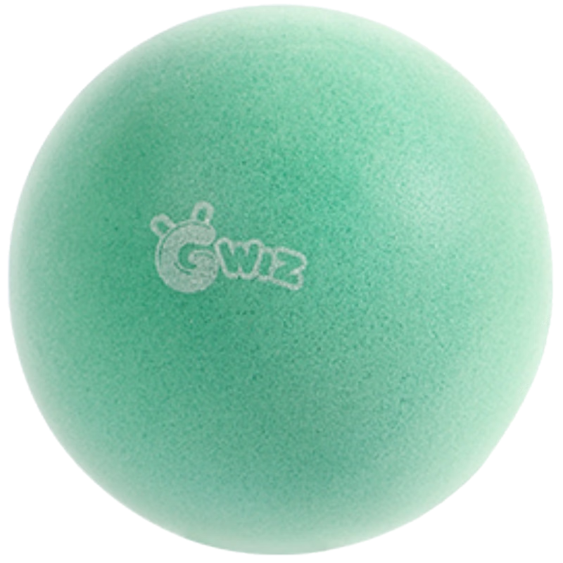 「GWIZ品牌」GWIZ是哪个国家的品牌-什么档次，怎么样-排行榜123网