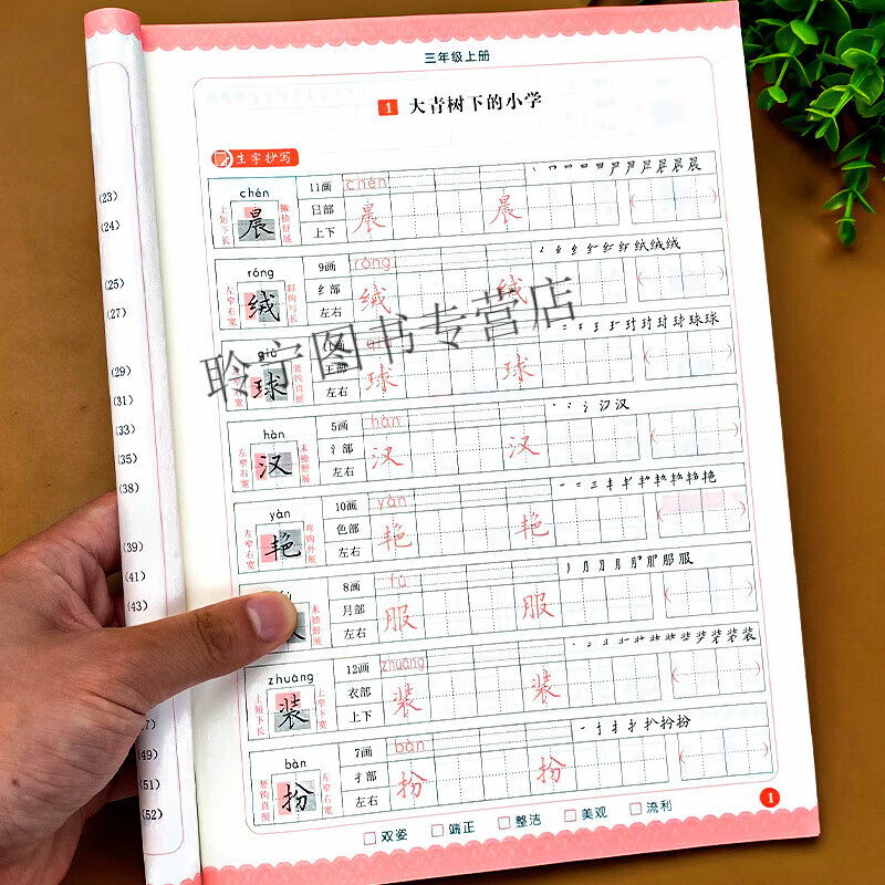 三年级上册语文字帖同步练字帖人教版小学写字课生字专项训练本天天练人教版小学生练字课课练钢笔楷书练习册