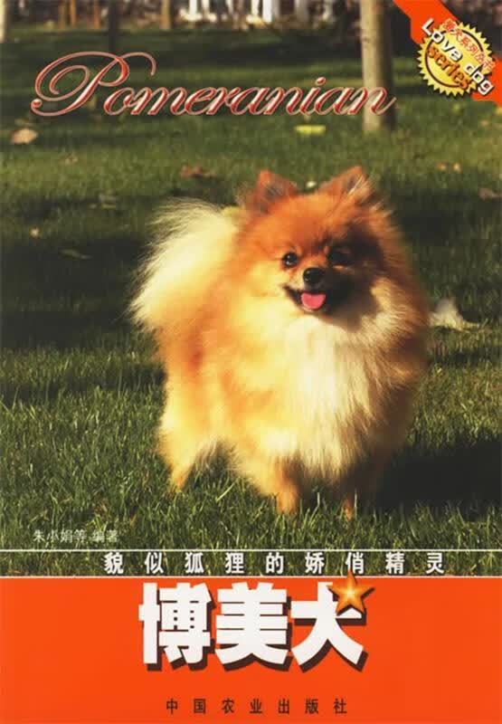 博美犬