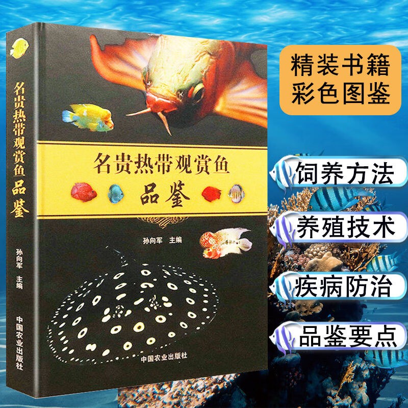 名贵热带观赏鱼品鉴
