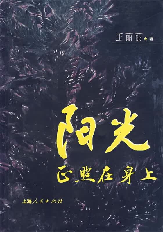 阳光正照在身上 王丽丽 著 9787208059108