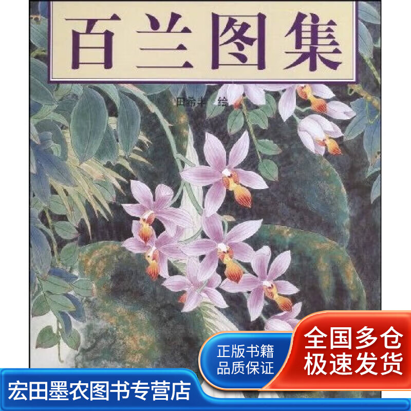 百兰图集【好书】