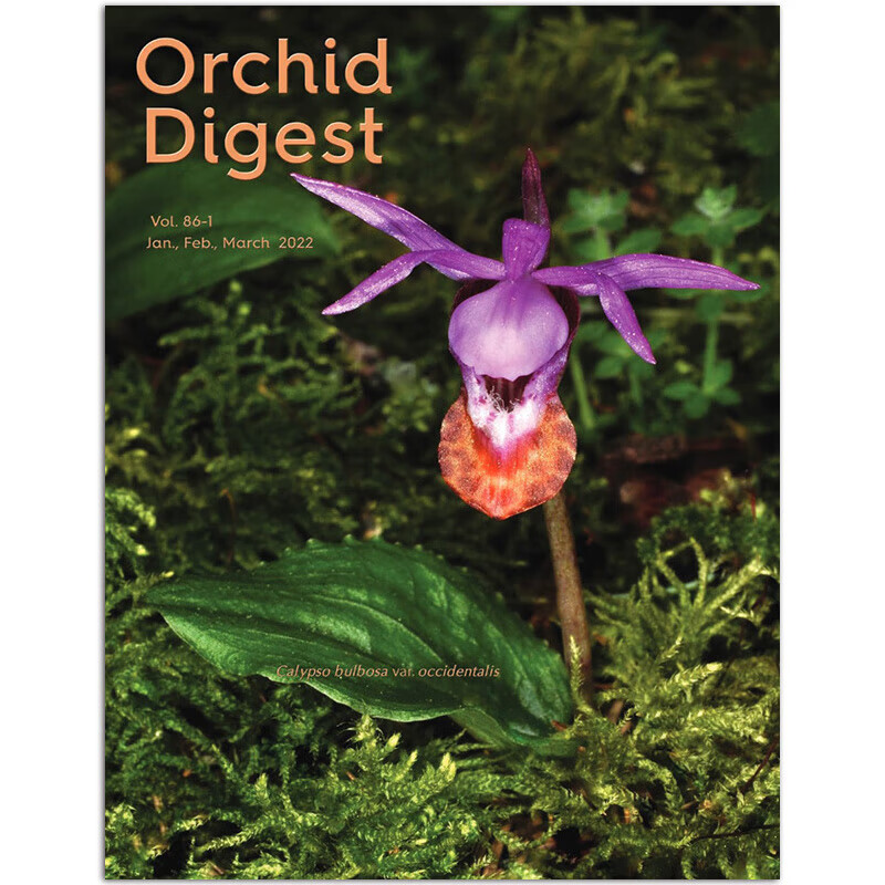 Orchid Digest 兰花种植技术杂志 2022年第1期 2022年第1期