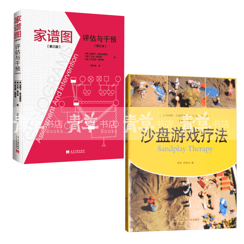 家谱图评估与干预+沙盘游戏疗法/心灵花园·沙盘游戏与艺术心理治疗丛书 心理学书籍