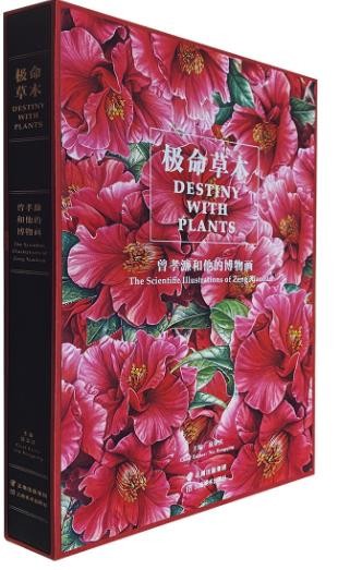 现货 极命草木 曾孝濂和他的博物画植物学花鸟绘画精装画册滇南本草奇妙物种素描白描云南美术
