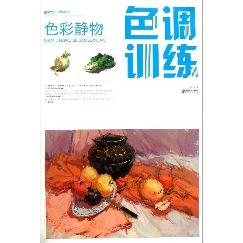 色彩静物色调训练 江程
