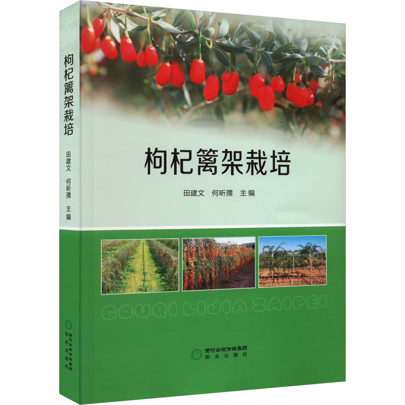 枸杞篱架栽培 图书