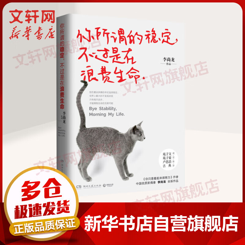 你所谓的稳定,不过是在浪费生命