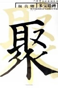 颜真卿《多宝塔碑》楷书基础技法与训练大字谱 陆有珠 广西美术出版社