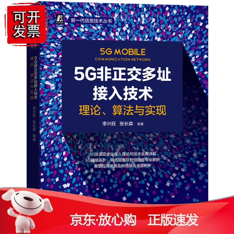 5G非正交多址接入技术：理论 算法与实现