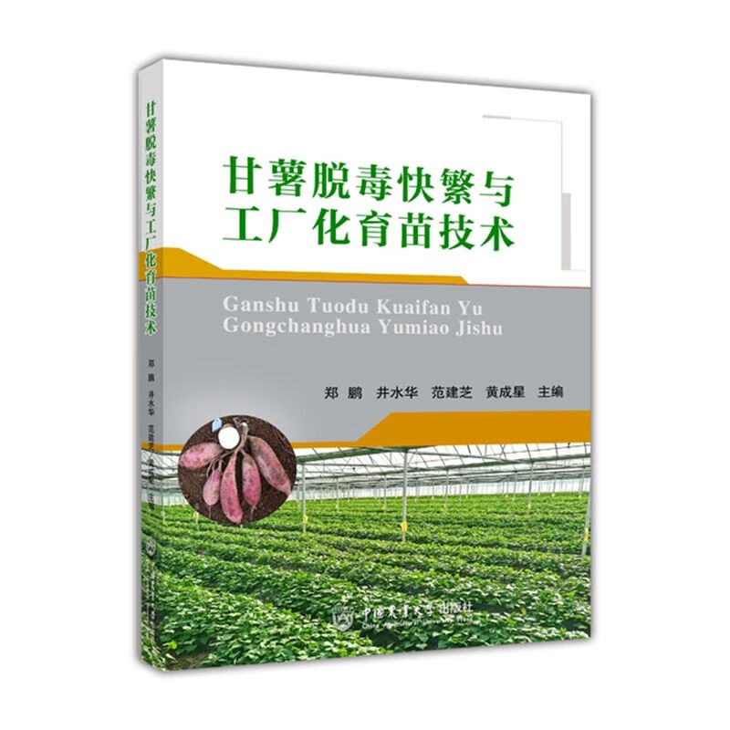 甘薯脱毒快繁与工厂化育苗技术 郑鹏 井水华 范建芝 黄成星主编 中国农业大学出版社官方 9787
