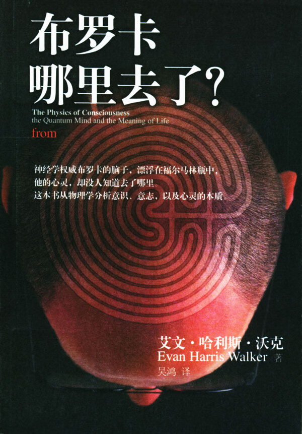 布罗卡哪里去了 沃克