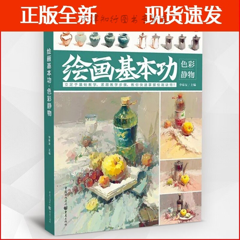 绘画基本功色彩静物 2022敲门砖水粉基础单体组合写生色调色稿照片对画临摹范本校考高考联考美术绘画画册技