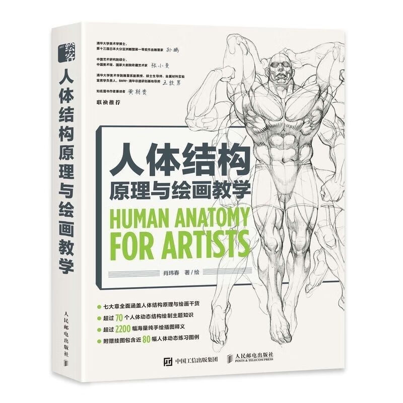【现货速发】人体结构原理与绘画教学肖玮春 画画的春哥 插画人物
