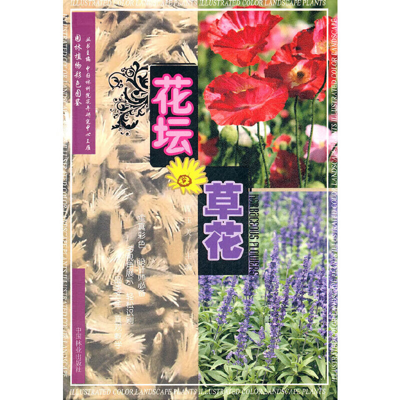 花坛草花