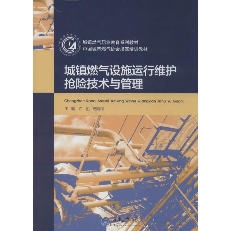 城镇燃气设施运行维护抢险技术与管理