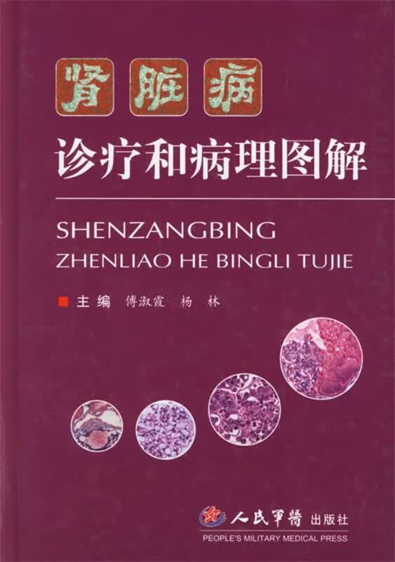 肾脏病诊疗和病理图解 傅淑霞,杨林 人民军医出版社