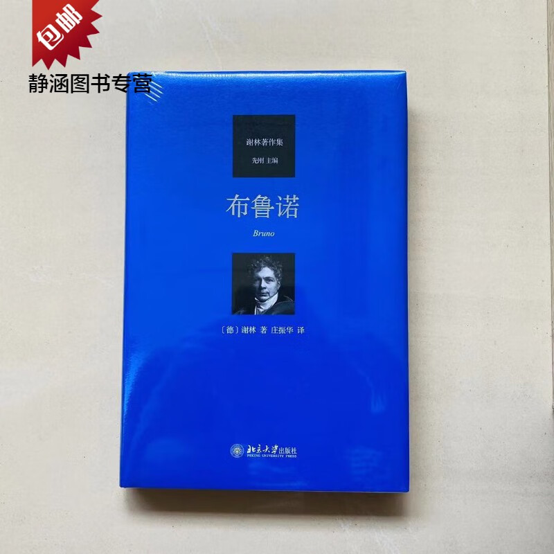 布鲁诺 谢林 著 庄振华 译 北京大学出版社 9787301305829