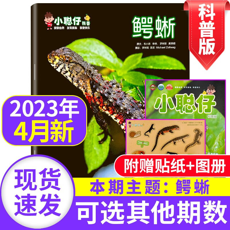 【新期到】小聪仔科普版杂志2023/2022年【单本多期可选】 2~8岁幼儿益智兴趣智力开发低年级儿童科普百科自然探索奥秘非过期刊 小聪仔（科普版）2023年4月