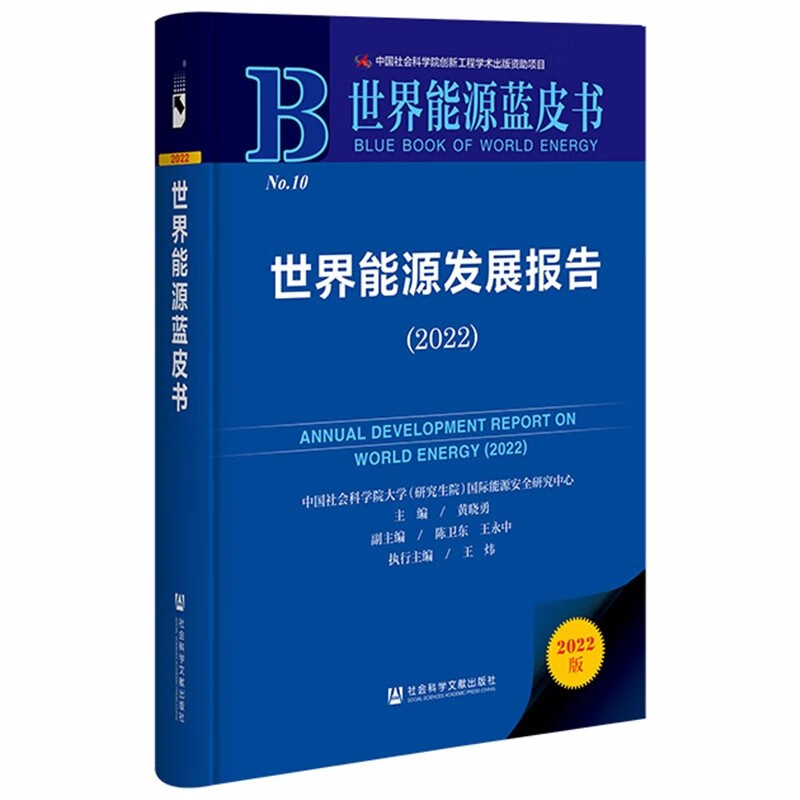 世界能源蓝皮书：世界能源发展报告（2022）
