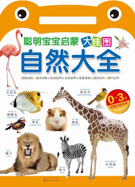 聪明宝宝启蒙大挂图.自然大全 韩雪 主编