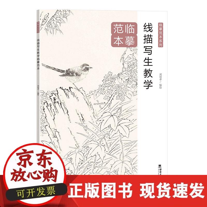 【现货】线描写生教学临摹范本