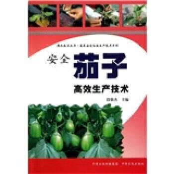 安全茄子高效生产技术