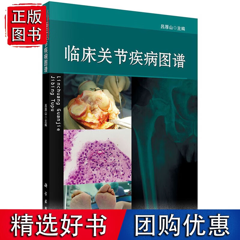 临床关节疾病图谱