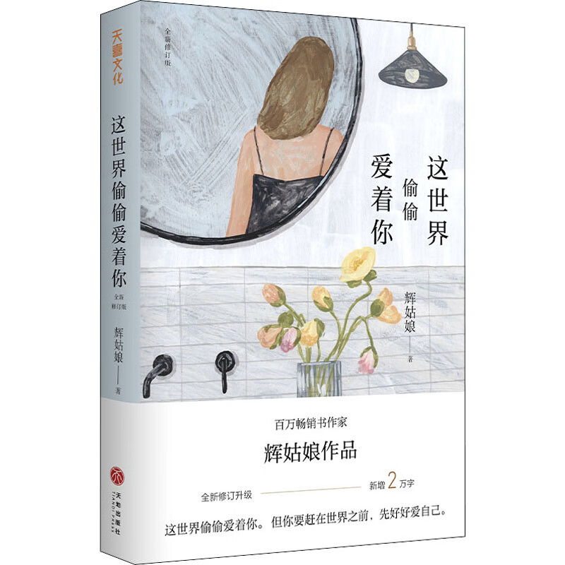 这世界偷偷爱着你 辉姑娘 天地出版社