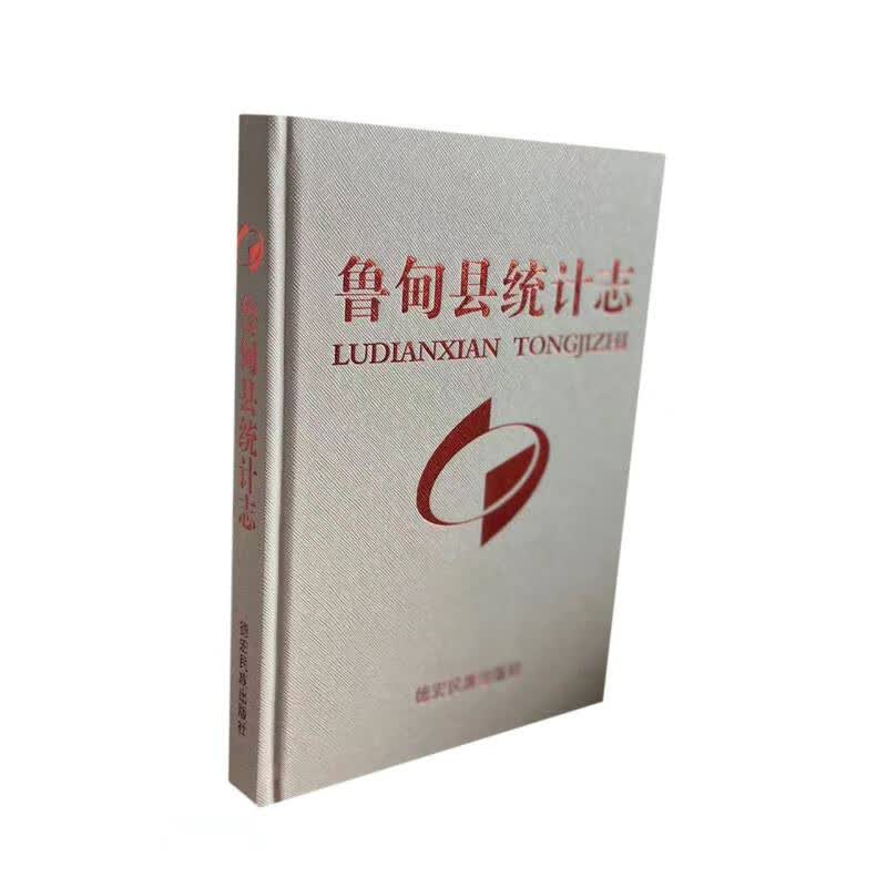 鲁甸县统计志(精)