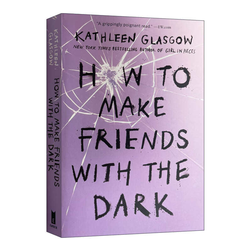 How to Make Friends with the Dark 英文原版 如何与黑暗交朋友 友谊 青少年文学小说 纽约时报畅销书作家 英文版 进口英语书籍