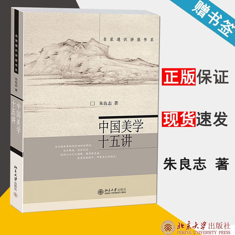 现货 中国美学十五讲 朱良志 名家通识讲座书系 北京大学出版社