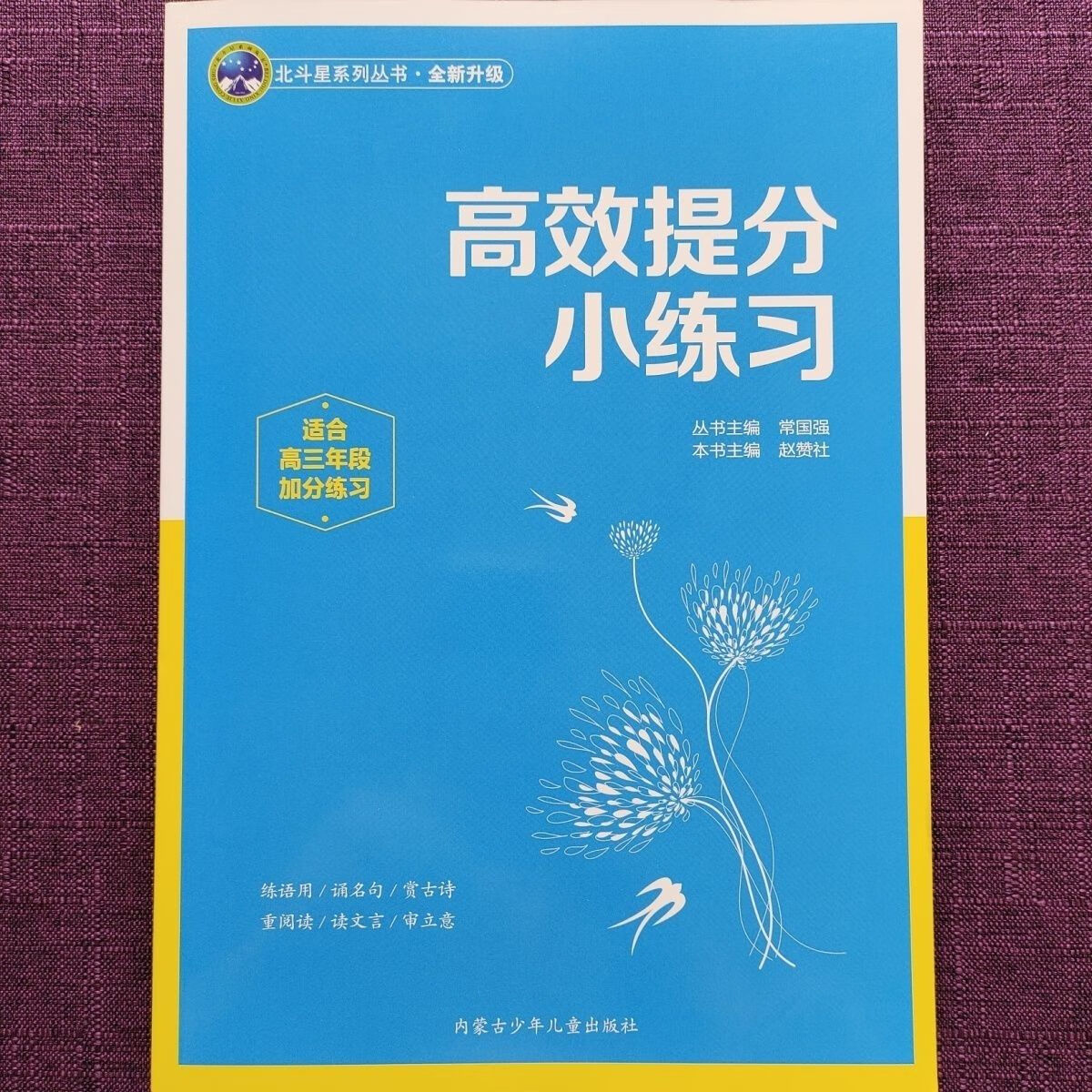 2024北斗星 高效提分小练习适合高三年段加分练习