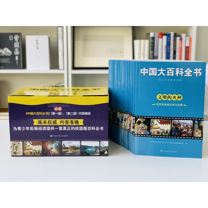 中国大百科全书全20册青少年拓展阅读版课外书绘画上的历史舞台上的智者 中国哲学国家人文历史科学百科全书知识科普类书籍 套装20册