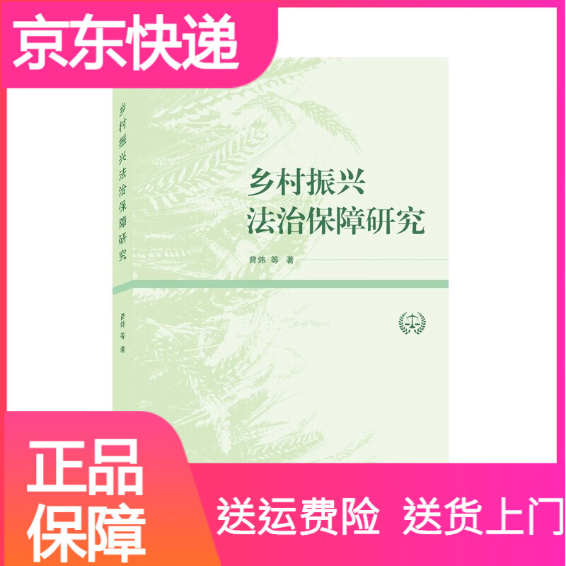 法律乡村振兴法治保障研究 治保障研究