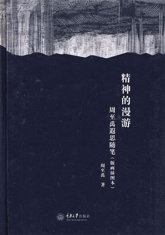 精神的漫游 周至禹著【书】