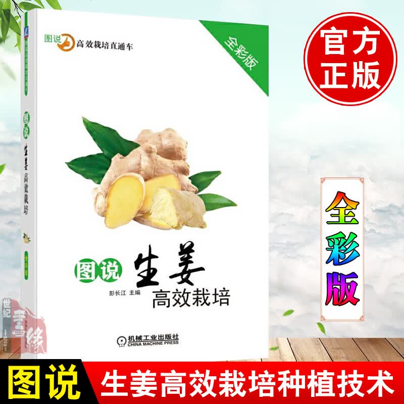 生姜栽培种植技术大全书籍 高产优质生姜种植书 病虫害防治