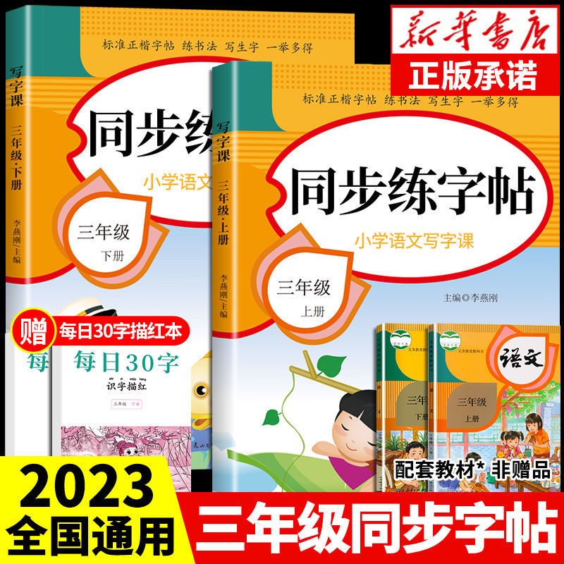 2023新版三年级上册同步练字帖人教版上学期每日一练小学语文写字课课练每日一练小学生临摹字帖练字钢笔生字抄写本下册暑假 【全2册】语文字帖上册+下册