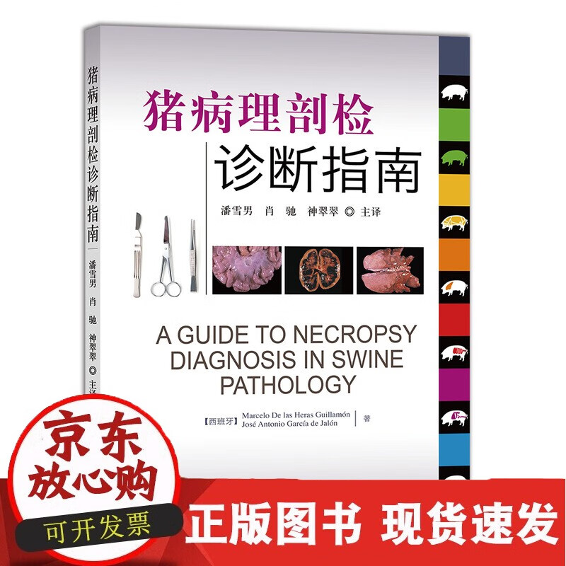 C 猪病理剖检诊断指南