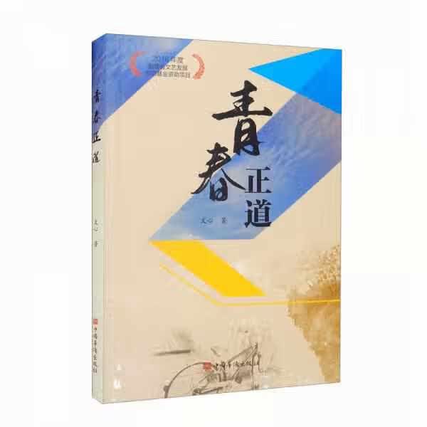 青春正道 文心 中国华侨出版社 9787511386939