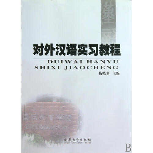【书】对外汉语实习教程