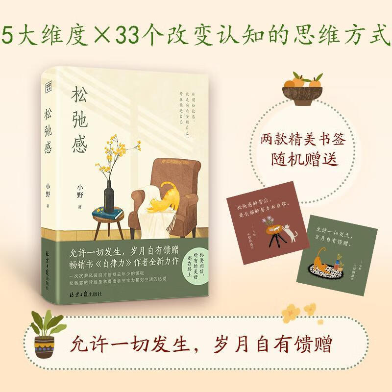 松弛感励志与成功 图书