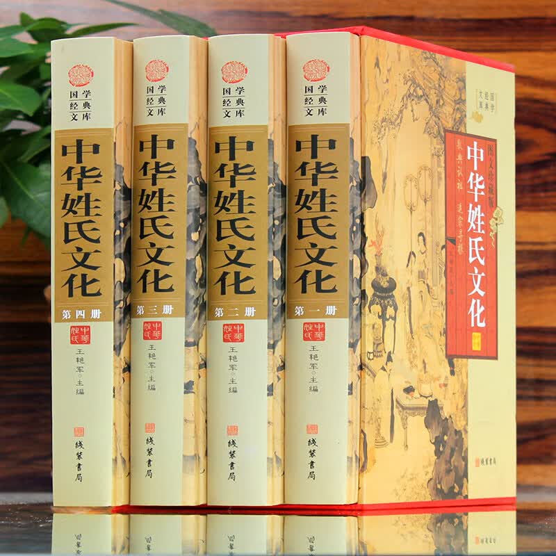 中华姓氏文化（4册精装小插盒） 中华姓氏大全集 解读中华百家姓氏等级起源发展文明等 中国姓名图书 图文珍藏版 中办公室书柜书架装饰摆件阅读图书