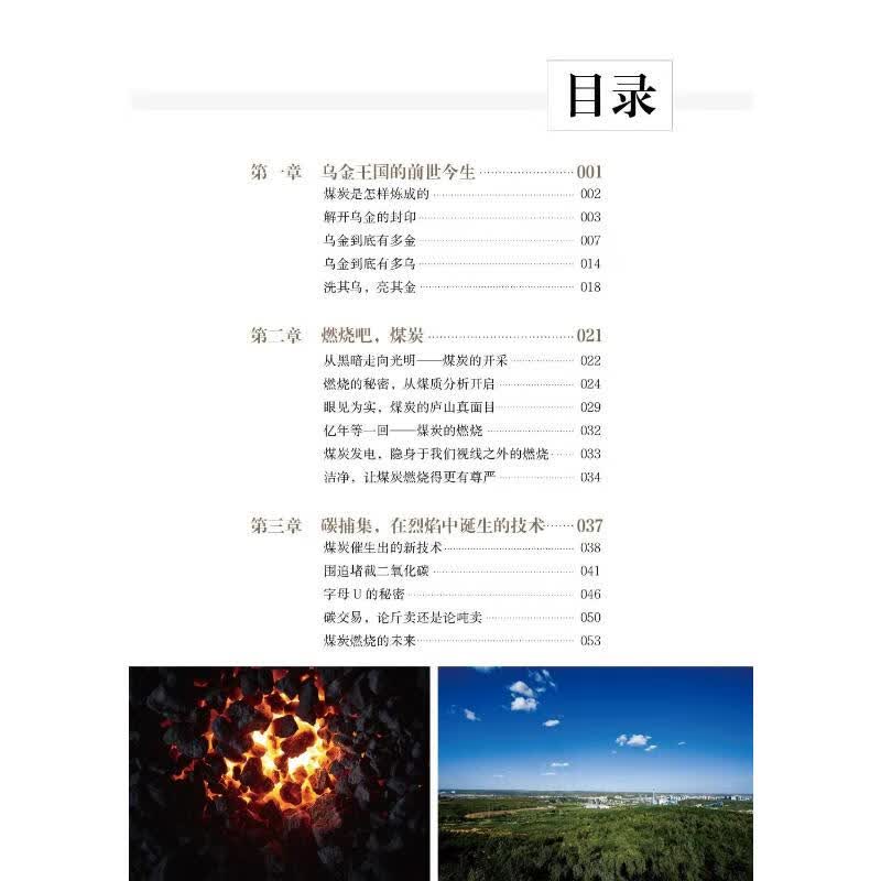 乌金王国(精)/低碳清洁能源科普丛书 图书