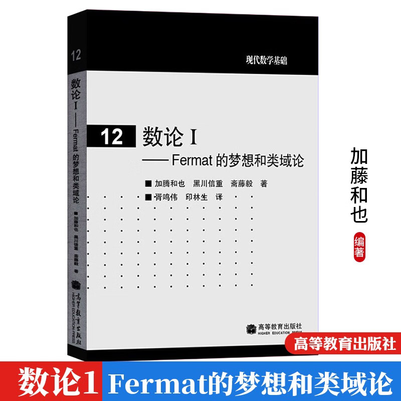 数论I Fermat的梦想和类域论 加藤和也 高等教育出版社 现代数学基础 现代数论的基本知识