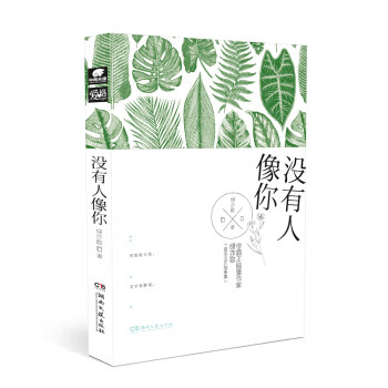 没有人像你 绿亦歌 著