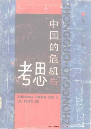 中国的危机与思考【精选】
