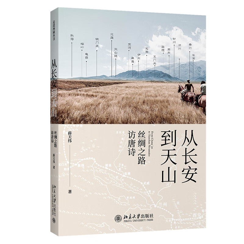 走进西域丛书 从长安到天山 丝绸之路访唐诗 薛天纬著全景展示丝路唐诗辉煌的文学旅行指南 湖北旗舰店